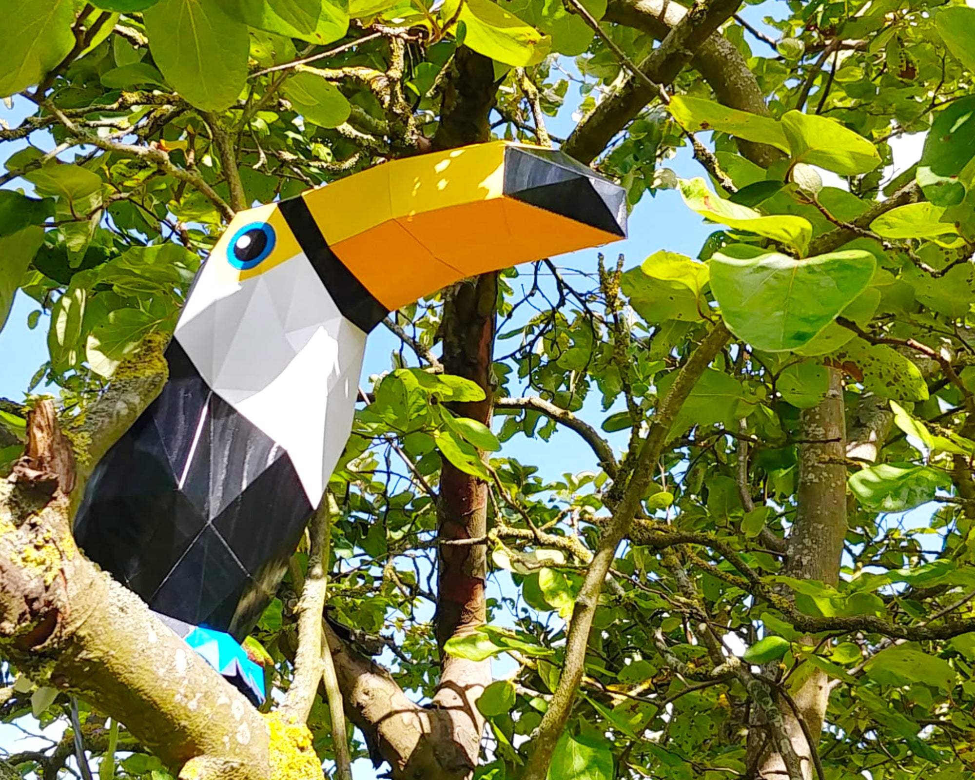 Toucan - DTWORKSHOP Animal Papercraft 3D Origami DIY - Télécharger PDF ...