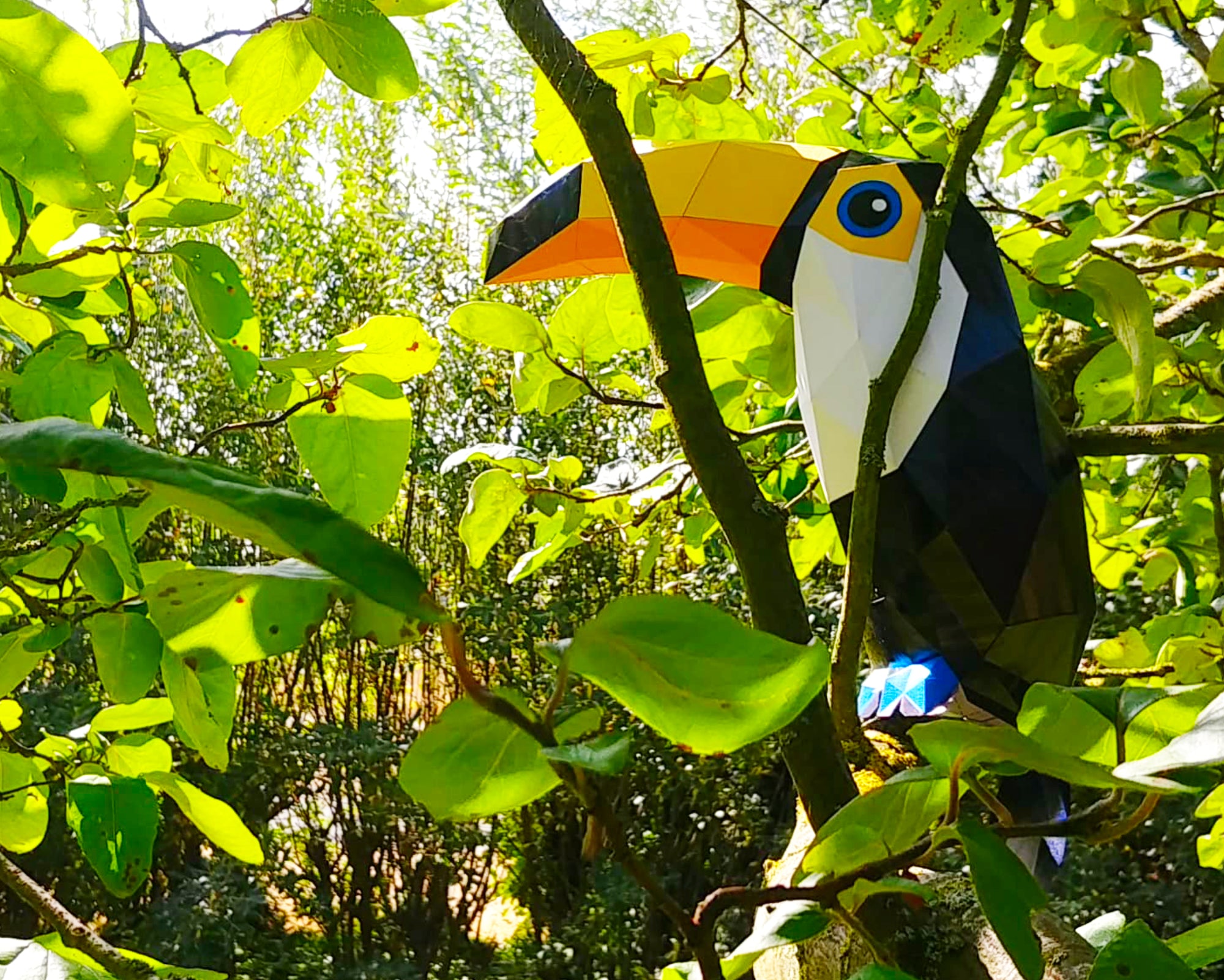 Toucan - DTWORKSHOP Animal Papercraft 3D Origami DIY - Télécharger PDF ...